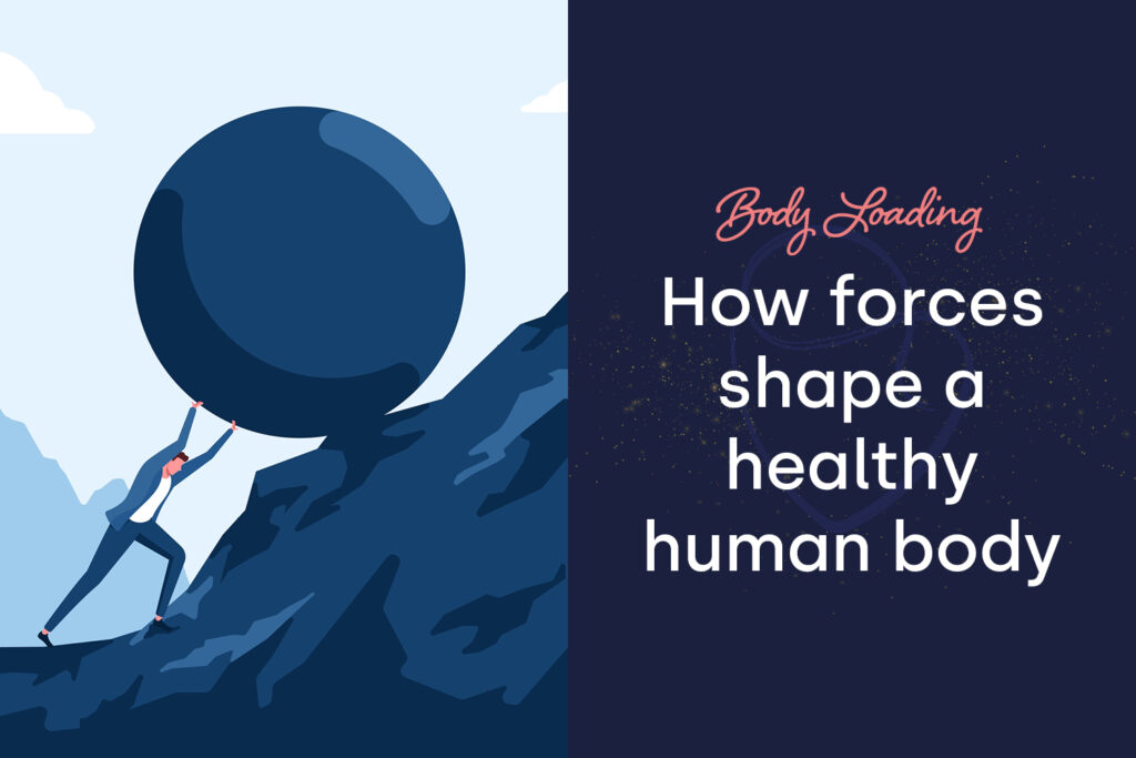 Loading the Body: How Forces Shape Healthy Physiology → Ewell Chiropractic